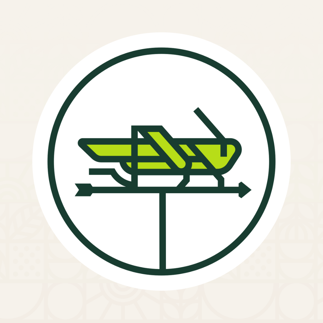 Home - Peacehaven Community Farm